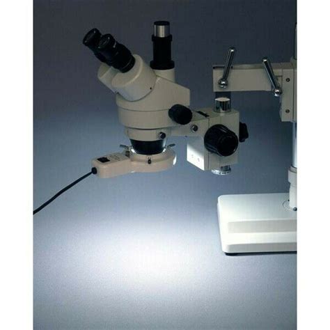 Amscope 8w Stereo Microscope Fluorescent Ring Light Amscope Eu