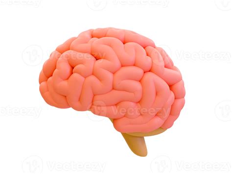 3d Mínimo Cérebro Aprendendo E Educação Conceito Símbolo Do Conhecimento 3d Ilustração