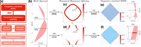 Figure 1 From Dynamical Degeneracy Splitting And Directional