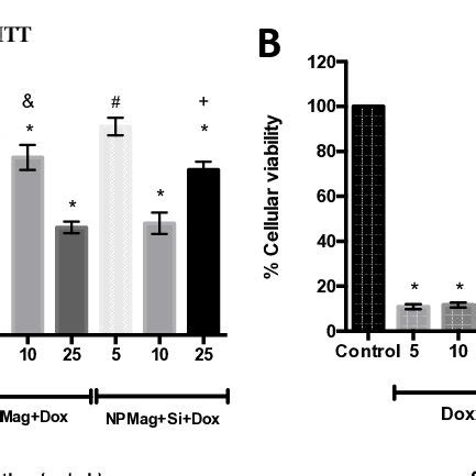 Mean And Standard Deviation Obtained By The MTT Test Control Groups