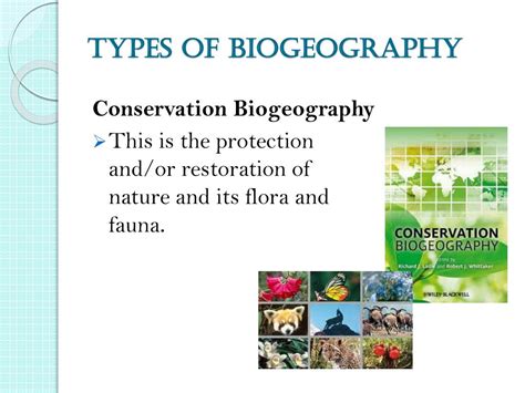 Ppt Biogeography Powerpoint Presentation Free Download Id 2195371