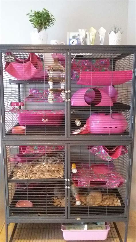 Rat Cage Ideas Diy Alleen Hershberger