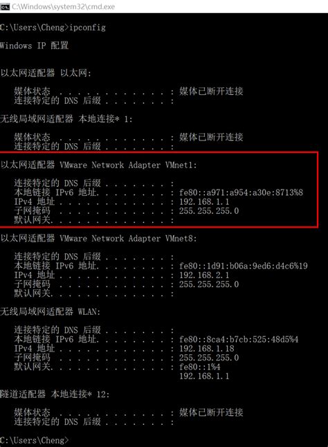 Vmware仅主机模式虚拟机无法ping通物理机 废物大师兄 博客园