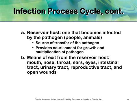 Ppt Chapter 2 Powerpoint Presentation Free Download Id 4464911