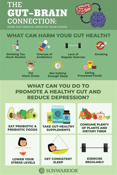 The Gut Brain Connection How Gut Health Affects Your Mood Infographic