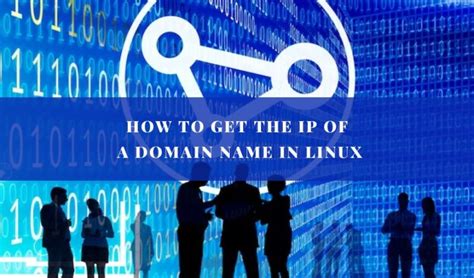 How To Get The Ip Of A Domain Name In Linux
