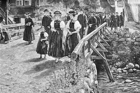 590 Foresta Nera Illustrazioni Foto Stock Immagini E Fotografie