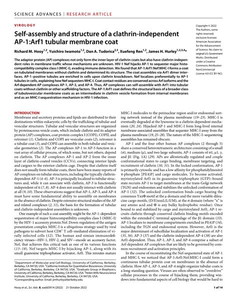 Pdf Self Assembly And Structure Of A Clathrin Independent Ap 1arf1