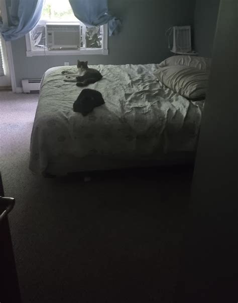 The 5000 Page Thread Help Encourage Ruby To Fart On Page 3545 The Something Awful Forums