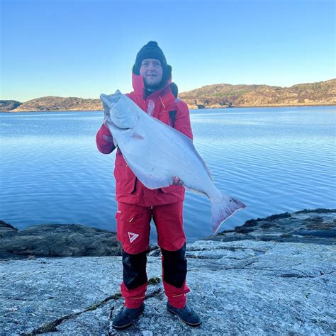 Stuart Williamson Youtube