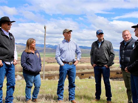 Your Chocolate Bar Probably Contains Cockroach Parts