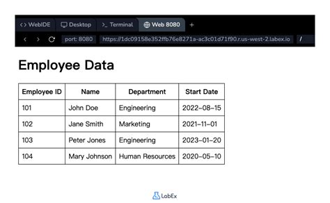 Css 表格样式：学习如何设置 Html 表格样式 Labex