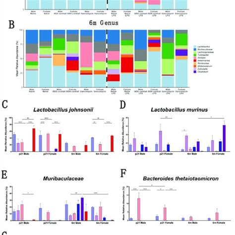 Taxonomy Representation At Genus And Species Level Ab Relative Download Scientific Diagram