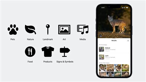 Wwdc23 Whats New In Visionkit Apple Youtube