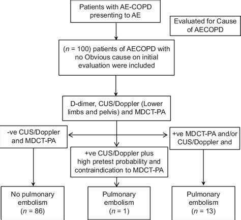Flow Chart Of The Study Protocol Download Scientific Diagram