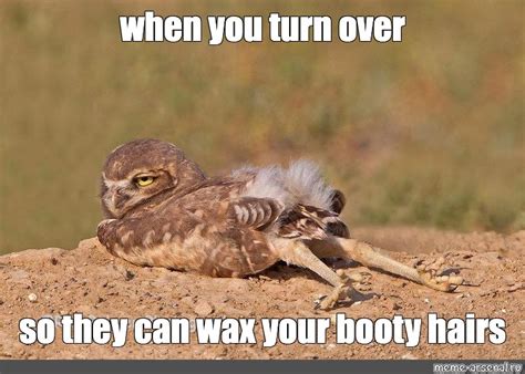Create Meme Owl Funny Funny Owls Funny Owls Pictures Pictures