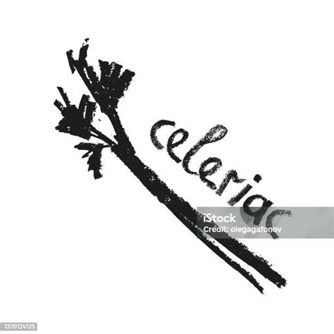 Ikon Celeriac Vektor Diisolasi Ilustrasi Seledri Kenop Yang Digambar