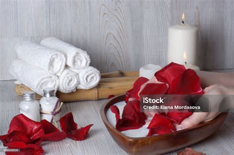 여자의 손에 장미 꽃잎 우유 피부 에스테틱에에서 몰입 하 고대의에 대한 스톡 사진 및 기타 이미지 고대의 꽃 식물 꽃잎