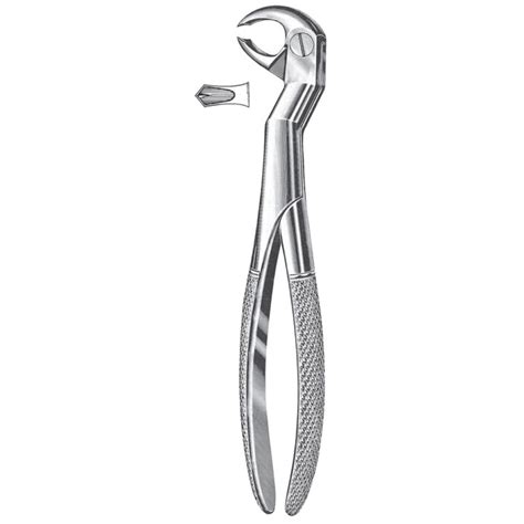 Wisdom Teeth Extracting Forcep Lower Wisdom Gavin Industries