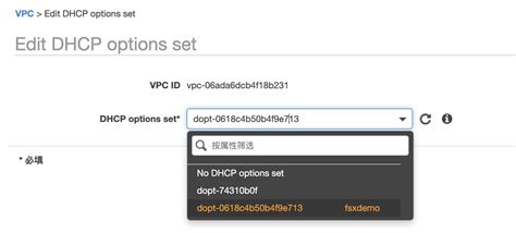 如何利用 DFS on FSx for Windows File Server 实现文件系统高吞吐要求 亚马逊AWS官方博客