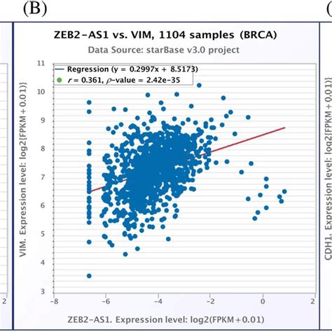 The Relative Expression Of The Zeb2‐as1 In Tumor Compared With Matched