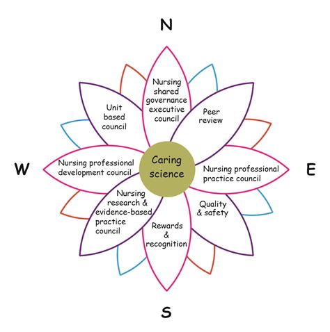 Nursing Professional Practice Model