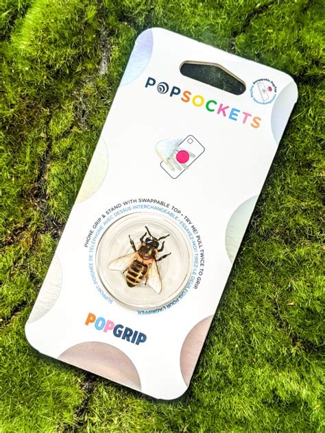 Sold Vegan European Honey Bee Popsocket Holland Haus Art