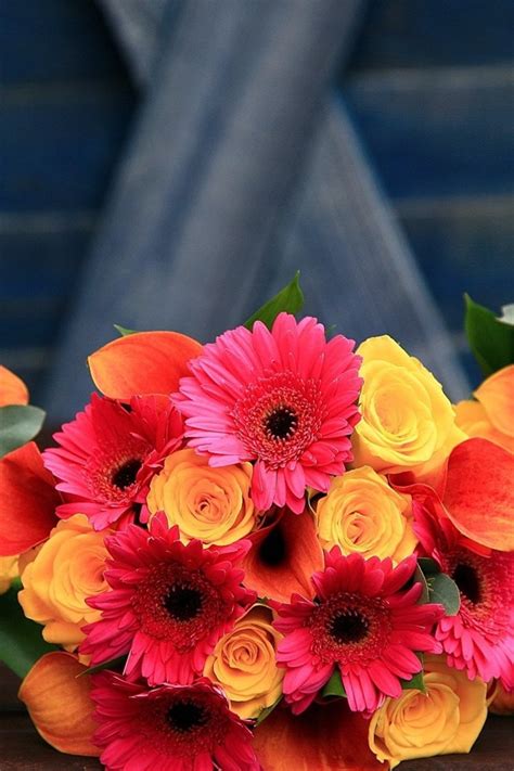 배경 화면 아름다운 꽃 핑크 거베라 오렌지 칼라 백합 노란 장미 1920x1200 그림 이미지