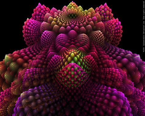 Margys Musings Fractals Fractals In Nature Fractal Images Fractals