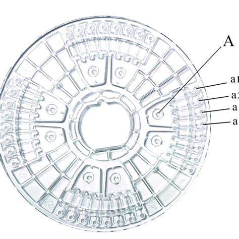 Loop Mediated Isothermal Amplification Lamp System Specificity Download Scientific Diagram