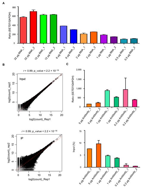 Refined Rip Seq Protocol For Epitranscriptome Analysis With Low Input