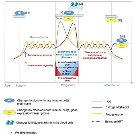 Frontiers Sexual Dimorphism In Innate Immunity The Role Of Sex