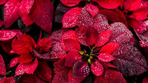 2023 Bing Wallpaper Archive Us Stunning Bing Daily Images · Peapix