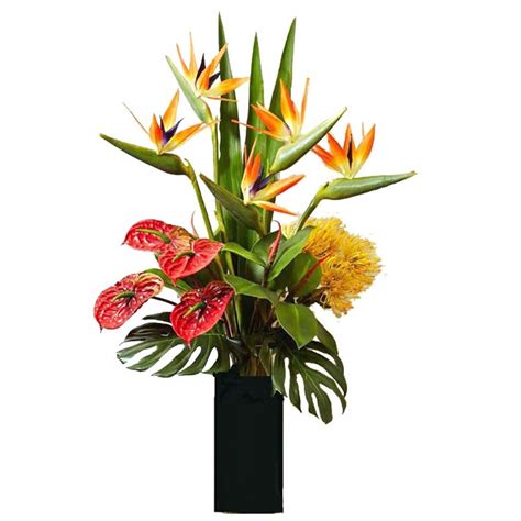 Micah Moore Bird Of Paradise Flower Arrangement Vase