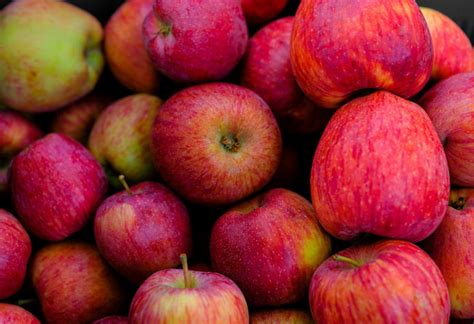 Tutorial Setting Up And Exploring Apple Containerization On Macos