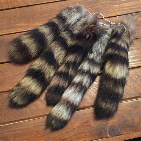 Raccoon Tail Curious Nature