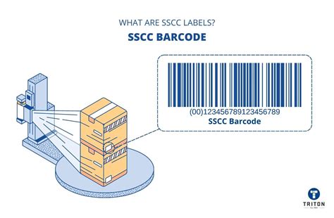 Serial Shipping Container Code Sscc Labels Complete Guide