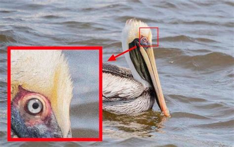 What Is Digital Noise And How To Reduce It