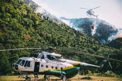 ბორჯომის ხეობიდან სასიხარულო ინფორმაცია ვრცელდება Metronome Ge