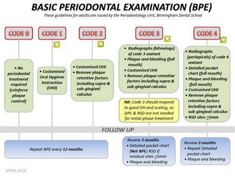 Bpe Flowchart Download Free Pdf Periodontology Medical Specialties