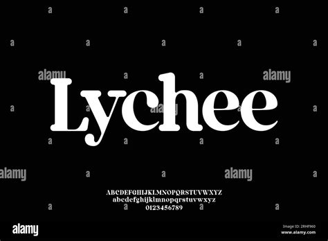 Bold Rounded Serif Typeface Display Font Vector Unique Soft Serif Typography Style Stock Vector