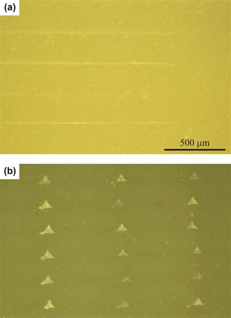 Microstructure Of Printed Composite 10 Vol Al2o3 Pa Cross Sections Download Scientific