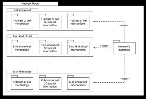 Model Of Neural Network In NEURON Download Scientific Diagram