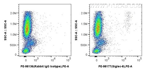 Siglec 8 Antibody Pe 98177 Proteintech