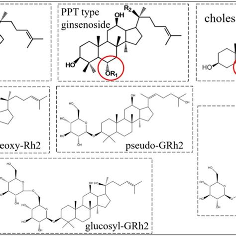 The Structures Of Cholesterol Ginsenoside And Their Derivative