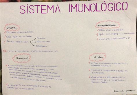 Mapa Mental Sistema Imunologico Imunologia