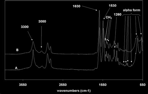 Ftir Spectra 4000 550 Cm 1 Of Polyamide 6 Cast Film A And