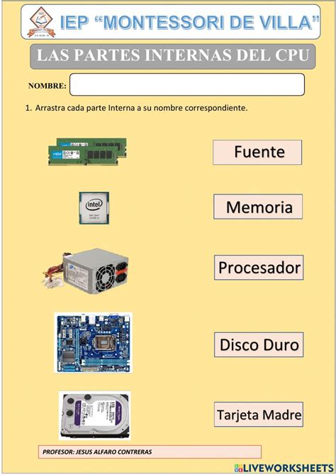 Partes Internas De La Computadora Y Sus Funciones