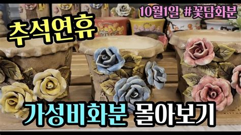 10월1일 추석연휴 가성비화분 몰아보기 꽃담다육스토리예쁜화분화분싸게파는곳다육식물多肉植物succulents다육이꽃담화분다육화분꽃담다육스토리화분 Youtube