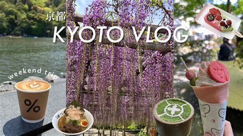 京都旅行 vlog女ひとり旅1泊2日 新緑の宇治嵐山観光 アラビカコーヒー平等院中村藤吉伊藤久右衛門よーじやカフェ麺屋猪一貝だ